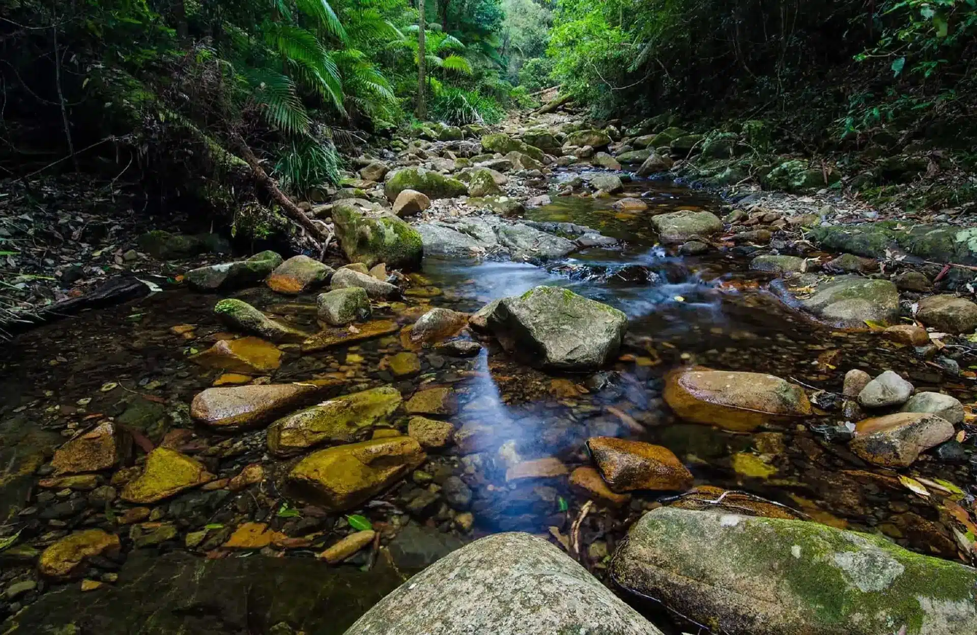 Willi Willi - Macleay Valley Coast