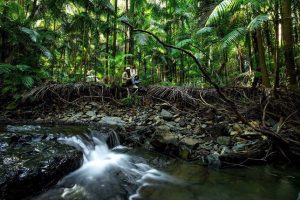 Explore the Top walks in the Macleay - Macleay Valley Coast