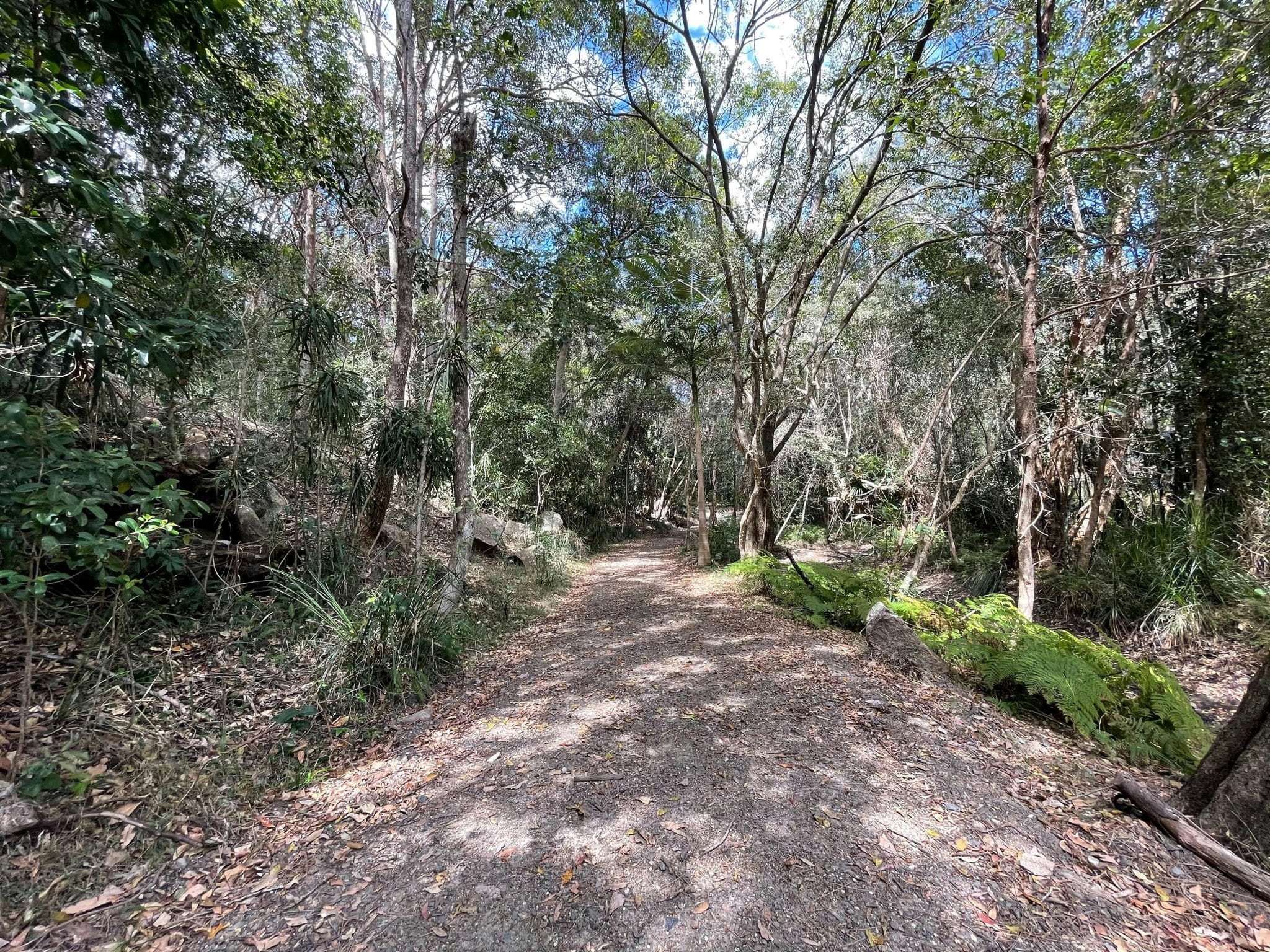 West End Circuit Walk - Macleay Valley Coast