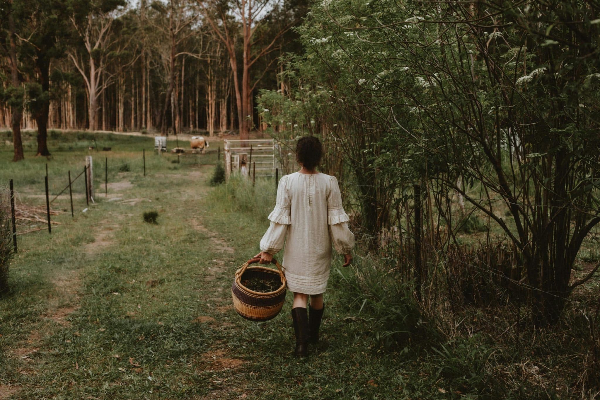 Blue Marble Farm - Macleay Valley Coast