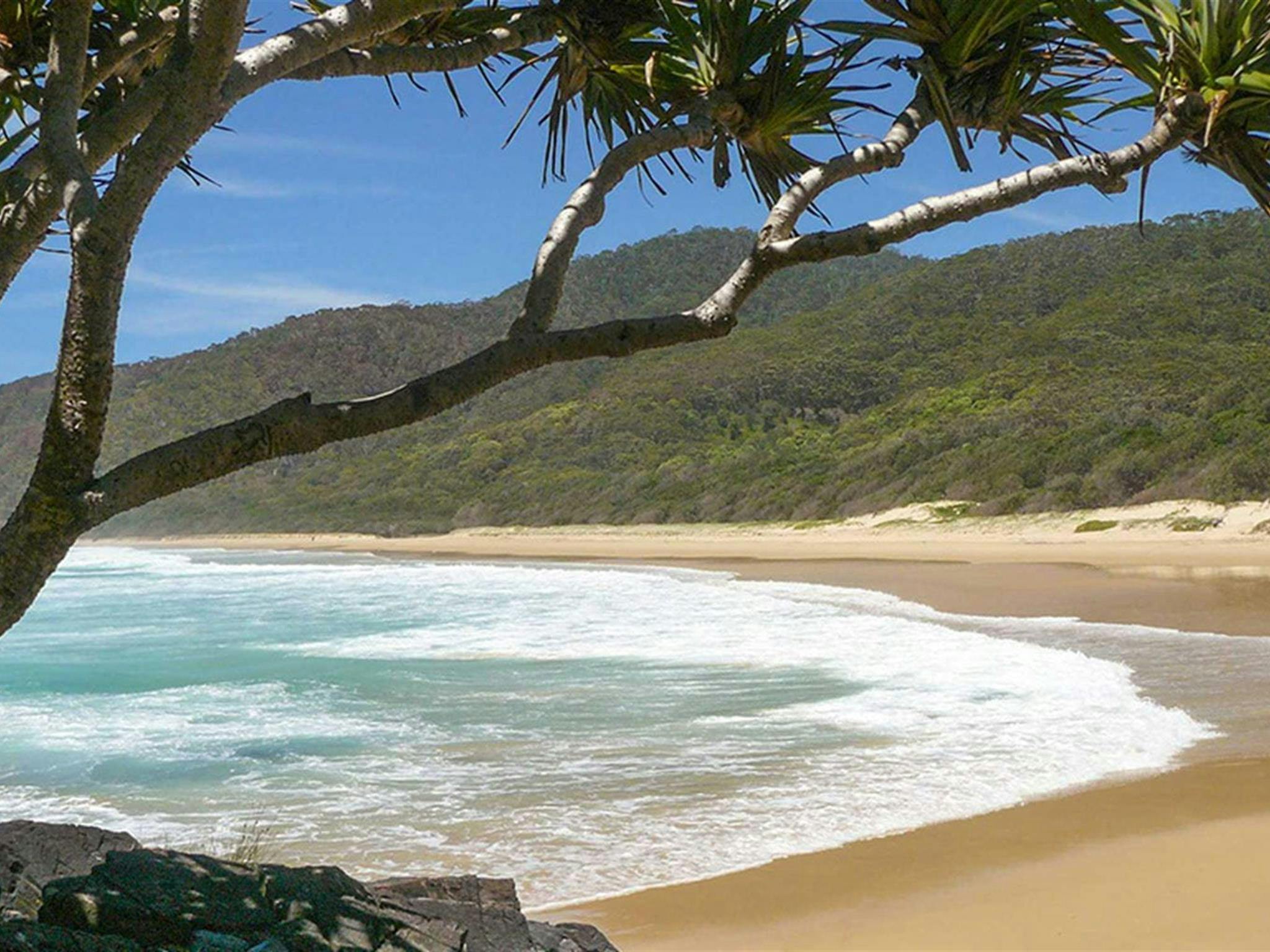 Gap Beach Picnic Area - Macleay Valley Coast